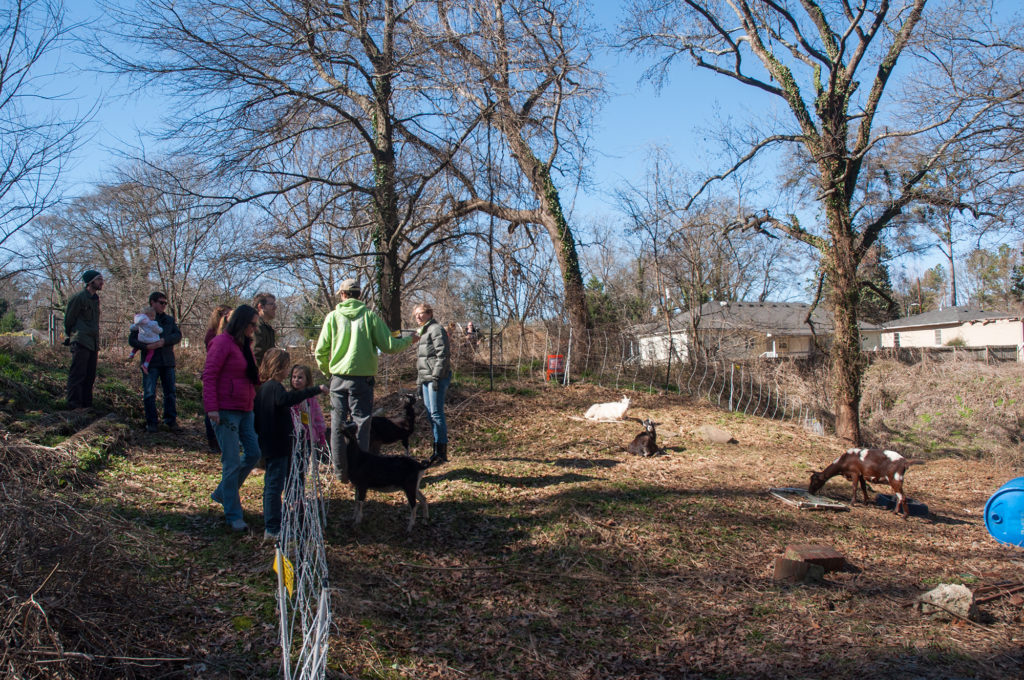 Enota Park Goats Meet & Greet - Westview Atlanta | Westview Atlanta